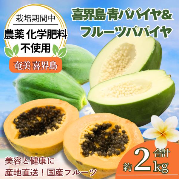 ◆◆話題の青パパイヤとフルーツパパイヤのセット！喜界島産無農薬◆◆健康食材として人気の青パパイヤ。カットするだけで食べられるフルーツパパイヤ。どちらも両方楽しめるセット鹿児島県・喜界島の自然の中で、農薬を使わず丁寧に育てられたパパイヤ。やさ...