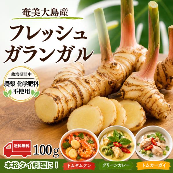 ◆◆本場タイ料理の香り！農薬・化学肥料不使用の生ガランガル◆◆奄美大島の豊かな自然環境で育てた【農薬・化学肥料不使用の生ガランガル（カー・ナンキョウ】です。ガランガルは、タイ料理やインドネシア料理に欠かせない香味スパイスで、トムヤムクン、ト...