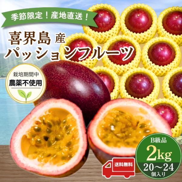 ◆◆たっぷり大量！美味しさそのまま！喜界島産 B級パッションフルーツ ◆◆【2026年販売分発送開始しました。7月10日頃まで受付予定。】農薬を一切使わず、自然の力と島の恵みだけで実ったパッションフルーツ！見た目に少し傷や色ムラがあるだけ。...