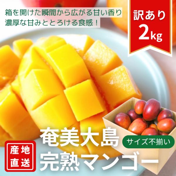 ◆◆贈答品質と変わらぬ美味しさを、ご家庭でたっぷり◆◆南国・奄美大島の太陽と海風に育まれた完熟アップルマンゴー。その中でも「贈答用としては規格外」となったマンゴーを、お得な家庭用・訳あり品としてご用意しました。訳ありの理由は “ 見た目 ”...