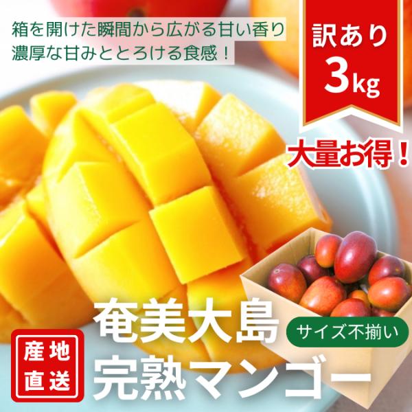 ◆◆贈答品質と変わらぬ美味しさを、ご家庭でたっぷり◆◆南国・奄美大島の太陽と海風に育まれた完熟アップルマンゴー。その中でも「贈答用としては規格外」となったマンゴーを、お得な家庭用・訳あり品としてご用意しました。訳ありの理由は “ 見た目 ”...