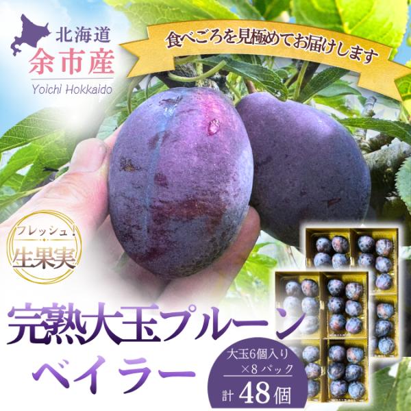 ◆◆大玉だからこその食べごたえ！旬の短い生プルーン【ベイラー】を産地直送で◆◆旬の時期にしか味わえない、北海道余市産の生プルーン大玉品種【ベイラー】です。プルーンというとドライフルーツを思い浮かべる方も多いですが、旬の時期にしか味わえない「...