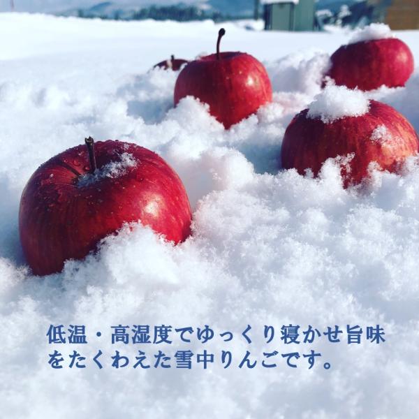 【発売日：2022年07月28日】熟成と高糖度の雪中貯蔵りんご　販売温度０℃・湿度９０％以上の天然の冷蔵庫で熟成させたリンゴです。温度・湿度が一定に保たれているため長期保存が可能。さらに糖度が上昇し、かなり希少で美味しいリンゴなので是非お召...