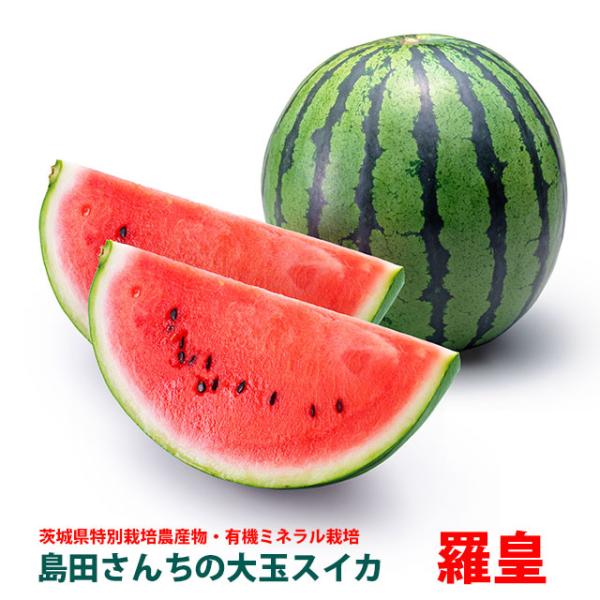 【羅皇スイカ】※今年は、6月20日から7月10日頃まで、ご予約順に出荷お届します。甘いスイカ（羅皇）すいか 紅大スイカの品種改良から生まれました。農林水産大臣賞を受賞。果肉はシャリ感がありながらのなめらかな肌質で癖になる味わいです。甘いと大...
