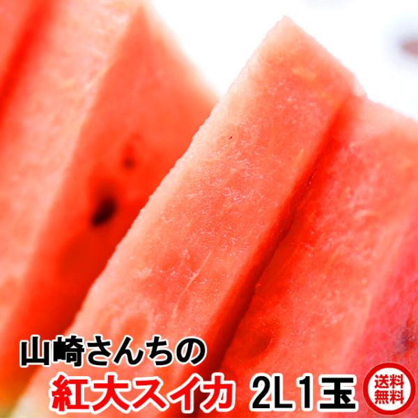 【紅大スイカ】※今年は、６月中旬から７月中旬頃まで、ご予約順に出荷お届します。甘いと大好評の吉田さん。島田さんのスイカに限定してお届けします。シャリ感と甘さが特徴の大玉スイカ お中元、ギフト等贈り物に最適です。美味しいだけでなく、安全なスイ...