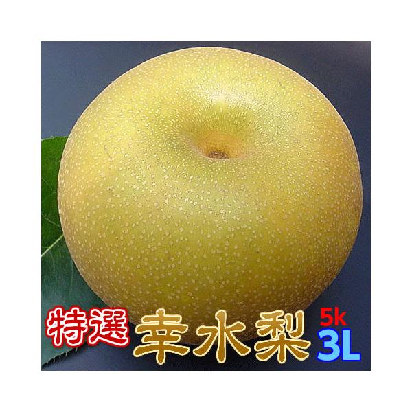 ★楽天ランキング入賞★矢口さんちの完熟特選梨■【特選】新幸水梨をお届けします。■ 色や球の揃えを行ないギフトに最適です。■ 酸味がなく甘さが特徴の梨です。■ 一般流通品と異なり完熟するまで待って収穫します。１週間以内にお召し上がりください。