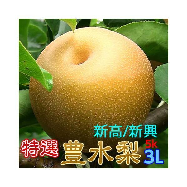 ★楽天ランキング入賞★矢口さんちの完熟梨≪出荷時期が早まります≫　新高、新興共に、9月20日〜10月初旬■1日5箱限定の特選品です。■【完熟・朝取り】ご注文順に収穫当日に出荷します。■ 色、玉揃え等厳選してお送りします。ギフトに最適です。■...