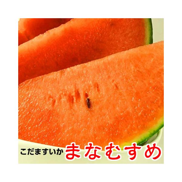 初夏の贈りもの紅こだま西瓜『まなむすめ』1玉入り箱（約1.3kg以上）■『まなむすめ』は、薄い果皮と甘い果肉が特徴の紅こだま西瓜です。■果皮は、きれいな緑色をしていて細く美しい縞柄模様です。■果肉は鮮やかな紅桃色で、繊維が少なく舌触り良好で...