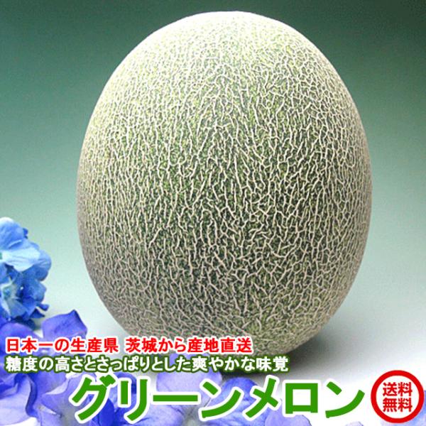 【グリーンメロン】※お待たせしました。今シーズン予約開始！6月25日頃よりご注文順に出荷いたします。メロン生産量日本一の茨城から 糖度の高さ（16度以上）とさっぱりとした甘さが特徴のグリーンメロンをお届します。※メロン生産量日本一：茨城県 ...