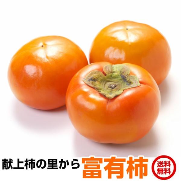 【献上柿の里】完熟富有柿■ 甘みと柔らかな食感は、他では味わえないおいしさです。 ■ 甘みの秘密は、油粕、米ぬかを使った土づくりを徹底しています。■ 選定をすることで柿の玉を大きくおいしく栽培し、完熟で収獲します。・硬めがお好みの場合：お届...