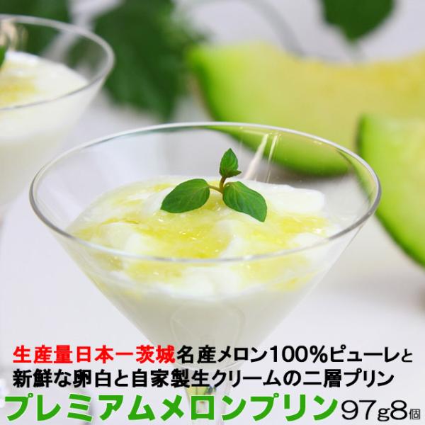 ■プレミアム メロンプリン97g×8送料無料 メロンプリン プレミアム メロンプリン97g×8 《 プレミアム メロンプリン の紹介 》■１ おいしさにこだわった新シリーズ「IBARAKI Premium Series」・茨城乳業プレミアム...