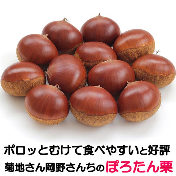 【菊池さんちの茨城のぽろたん栗（生栗）5k箱】１．栗の品種（ぽろたん）お届け２．出荷期間限定（9月上旬〜10月中旬）です。　　予約順に出荷いたします。　※お届け日は生産者お任せとなります。３．無燻蒸(無燻蒸)でお届けします。(常温保管厳禁)...