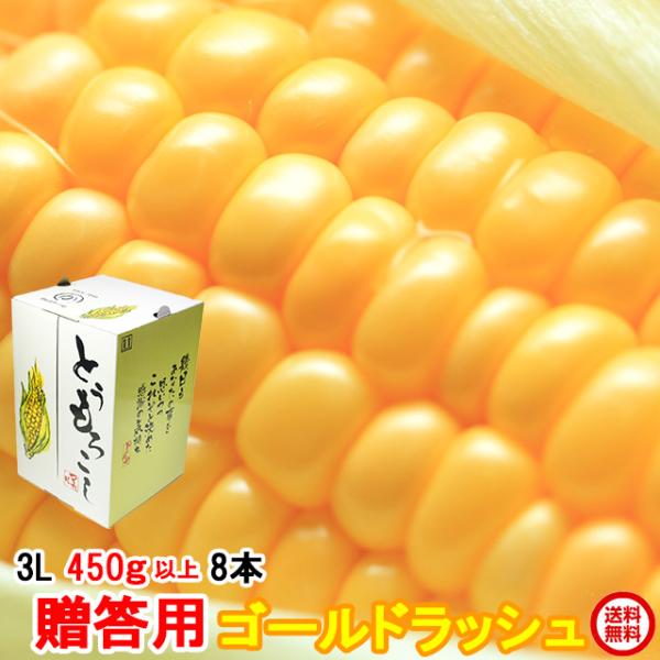 《朝採りとうもろこし》贈答用 ゴールドラッシュ■贈答用 プレミアムサイズ　3L450g以上/本 ビッグサイズ■1 梨で大好評をいただいた矢口さんちの朝採りとうもろこし■2 ゴールドラッシュ(７月上旬〜７月中旬)　　粒皮がきわめてやわらかく、...