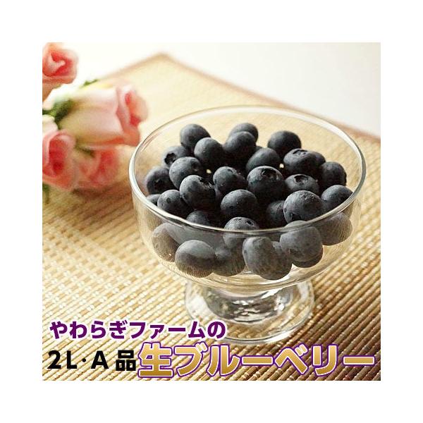 やわらぎファーム朝採り『生ブルーベリー』800g(100g×8)　■ ご予約から１週間以内発送【送料無料】■ 大粒の2L（15〜18mm）サイズでA品のみを選別出荷します。■ 無農薬、有機肥料で丁寧に育てました。 ■ 6〜7月ハイブッシュ系...