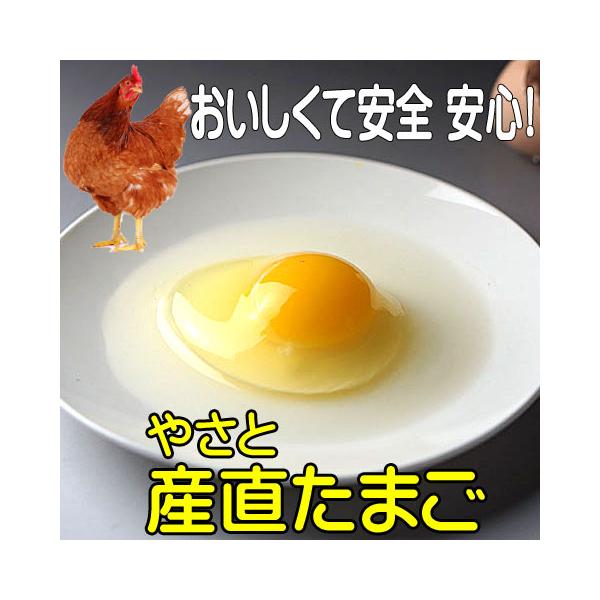 【やさと産直たまご】クール便お届け■送料無料■サイズと入数：L,M,MS,S 20個〜108個入からお選びください。　※S108個入りは、7月1日〜9月30日までの季節限定です。■産み立て新鮮・産地直送/安全安心！■環境保全 地域・循環型農...