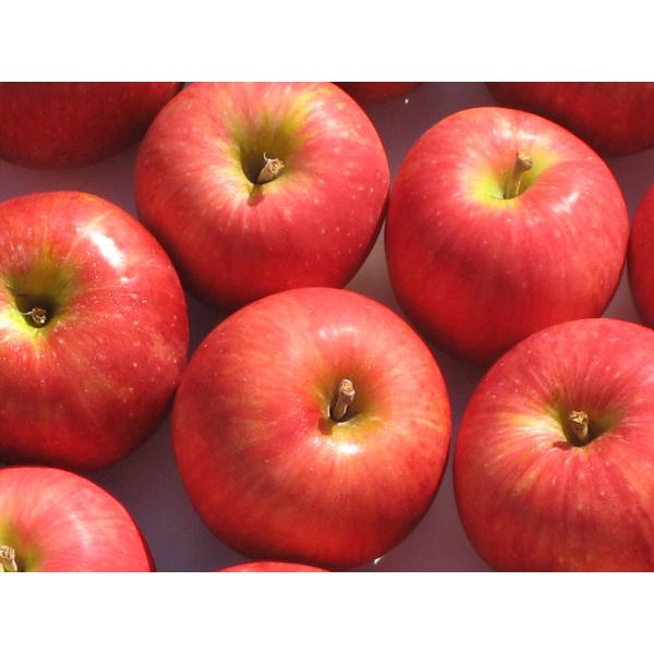 ●岩手県のりんごは、甘味酸味のバランスの良いりんごが多くなってきました。当店で選りすぐってお届け致します。・岩手県産りんごの「訳あり」になります。「訳あり」・・・色むら、色あせ、キズ、押しキズ、変形、枝刺され、虫くい、大玉、小玉、多少の柔ら...