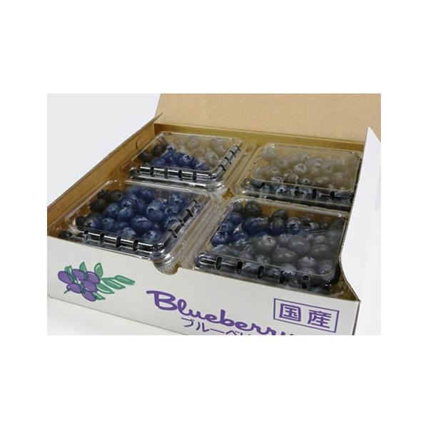 生ブルーベリー1kg（無農薬125g×8パック）無農薬有機EM栽培は安心安全です。その他の呼び名ブルーベリー　生ブルーベリー frt　生ブルーベリー 冷蔵　生ブルーベリー 大粒100g　贈答　お中元