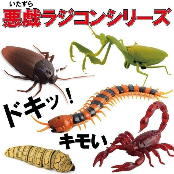 本物みたいにガサガサ動く！悪戯ラジコンシリーズ操縦はとても簡単！スティック式のリモコンで、お子様でも操作できます！男の子のいたずら心をくすぐる?虫好きのお子様にもぴったり！おうち遊びやイベントなどにも♪