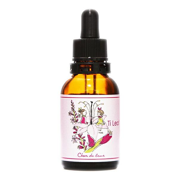 ティーリーフフラワーエッセンスは、過去とのつながりを再構築したり、清算したりする時にぴったりなフラワーエッセンスです。 現状の混乱した状態から復活して、過去の傷を癒し、新たな人生のスタートを切ることができるようになります。また、過去の出来事...