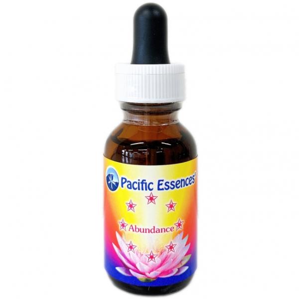 ありとあらゆるものの源との内的なつながりを発見し、人生のあらゆる領域であなたのハートの願いを具現化することを助けます。肉体、マインド(思考)、感情、スピリットが一体となるように調整し、人生全体のより大きな流れとのつながりをつくり上げながら、...