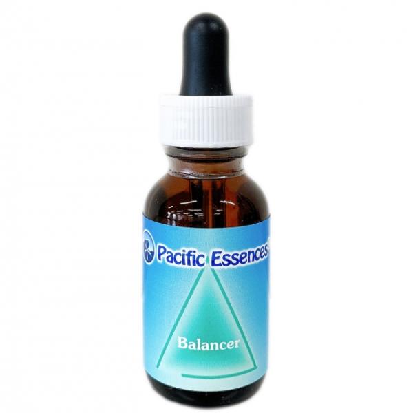 ストレスの多い状況で中心を保ち、バランスと調和を取り戻すことを助けます。肉体的または感情的なストレスやトラウマがあるときに使用できる3種類のお花のエッセンスのコンビネーションです。体の働きを元に戻し、精神をしずめ、荒れ狂ったような感情を穏や...