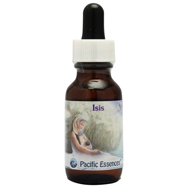 ・エジプトの肥沃の女神、オシリスの献身的な愛人であり妻・ツインソウルを引き寄せる・ソウルパートナーを失った深い悲しみを通して自己変容を遂げる挑戦的な側面(現実の問題点)別離、深い悲しみ、喪失感、人間関係に関する問題。ポジティブな側面(エッセ...