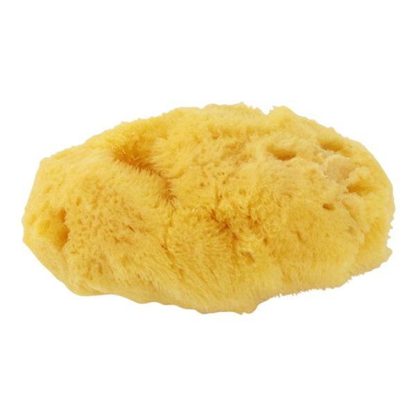 ●入数：1個入【商品の詳細】ケーキファンデーション、リキッドファンデーション専用スポンジです。ファンデーションをムラなくのばす、なめらかな質感の天然海綿スポンジです。肌との密着度が高く、崩れにくいメイクアップへ仕上がります。