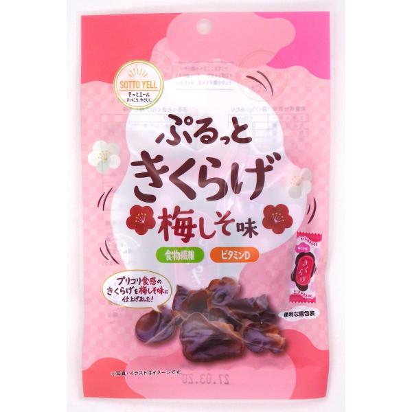 プルコリ食感のきくらげを低温浸透製法で梅しそ味に仕上げた個包装タイプの持ち運びやすい商品です。