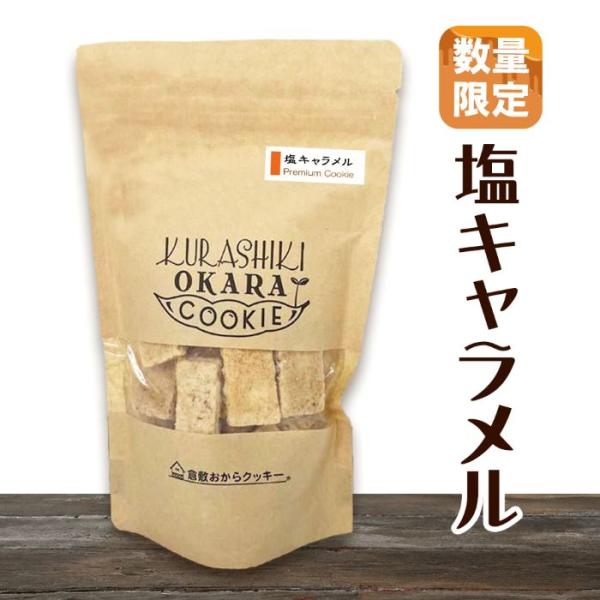 ●季節限定！コクのあるキャラメルにほんのり塩味をプラス。甘じょっぱいおいしさが広がる期間限定商品です。●岡山県産の米粉＆小麦粉、ココナッツオイルを使用した新しい倉敷おからクッキーです。 ●地元岡山のお豆腐屋さんで作られる新鮮な国産大豆の生お...