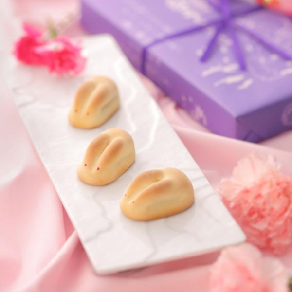 寿製菓「因幡の白うさぎ」は、販売から57年を迎えました！上品な甘さの黄身餡を、地元大山バターの風味豊かな生地で包んだおまんじゅうです。家族団らんに、大切な先様とのご縁をつなぐ贈りものに、ぜひお役立てください。神話『因幡の白兎』から生まれたか...