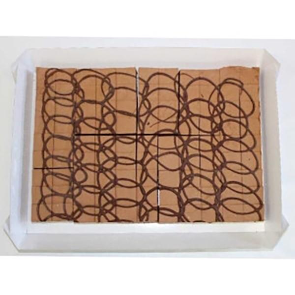 【地域限定送料無料】(※北海道・沖縄・一部離島等除く) 業務用食品チョコスポンジにチョコムースを重ね、チョコソースをトッピングしました。クーベルチュールチョコレートを使い、濃厚な味わいが広がります。＜アレルゲン＞小麦、卵、乳、ゼラチン、大豆...