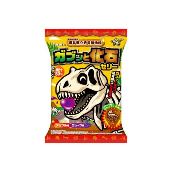 福井県立恐竜博物館の資料をもとに恐竜の化石イラストをトップシールにデザインしました。（全12種類）【内容量】210g【入数】20コ【2026/03/09発売】