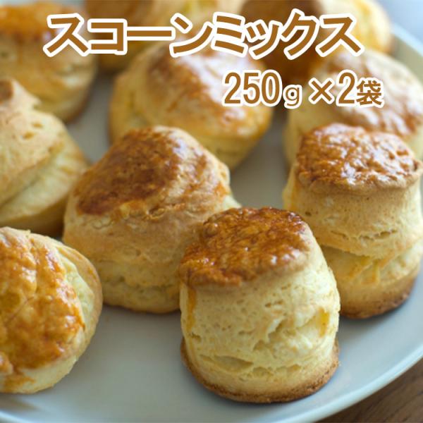 お菓子の定番スコーンが簡単に美味しく作れます！簡単な工程で焼きたてスコーンが楽しめるミックス粉。外はサックリ、中はふっくらしっとり、口溶けのよいスコーンが手軽に作れます。必要な材料は、水とバター（またはマーガリン）だけなので、面倒な計量の手...