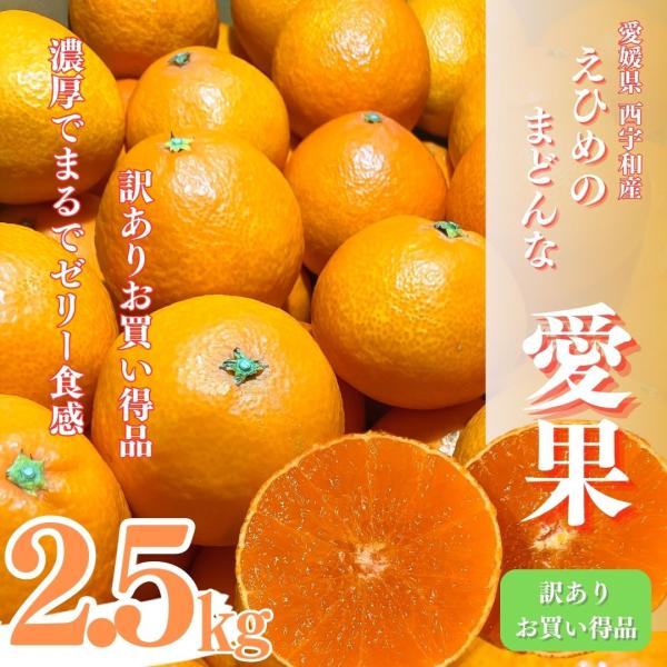 【愛媛の高級柑橘！甘くて濃厚な果汁！プルプルゼリーのようなとろける果肉で絶品】【現在のちょっと訳あり情報】ちょっと傷、ちょっと色ムラ、ちょっと変形が混ざります。大きなダメージのものは混入しません。ご家庭用に最適です。【あいか（愛果）】愛媛県...