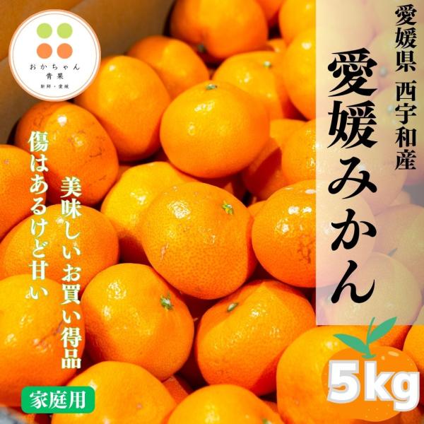 【厳選・丁寧・迅速対応】【送料無料・ゆうパック】ご安心してお買い求めいただけるよう詳細を都度更新しております。一読ください。現在のおみかん【産地】愛媛県　西宇和産【品種】温州みかん【規格】訳ありご家庭用　５ｋｇ （箱込み）＋保証分２００ｇ程...