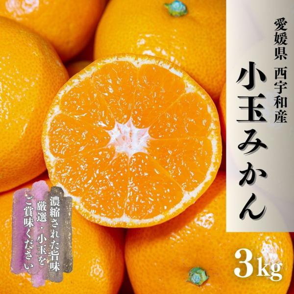 【厳選・丁寧・迅速対応】【送料無料・ゆうパック】今期稀少な小玉！【一度食べれば納得！小玉のとりこに☆濃縮の３Ｓ〜Ｓサイズ】小玉のサイズは、実は味がギュッと凝縮されている傾向にあります。その為、好んで小玉を選び食べている方が多いくらいです。又...