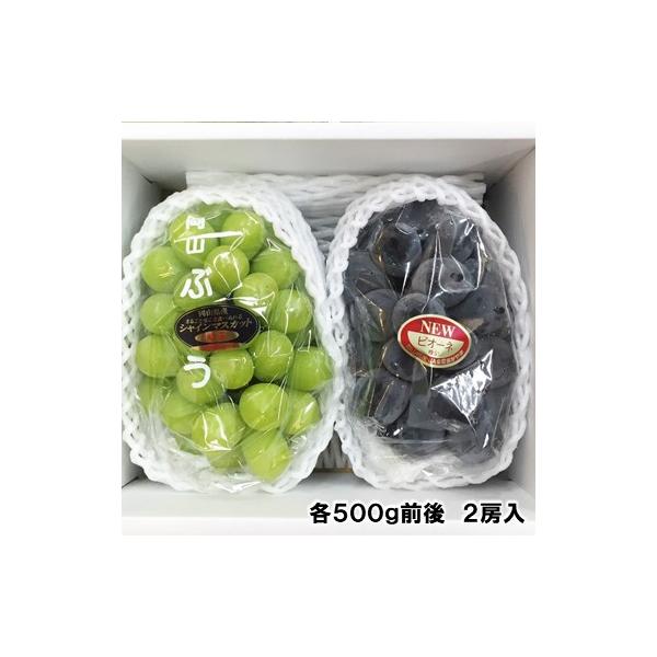 ネットで買える！おかやま果物・野菜★発送日指定不可の商品です★※※天候や入荷状況により発送が前後する場合がございます※※みんな大好き！大粒・種無しブドウ。全国レベルの人気商品、ニューピオーネとシャインマスカットのコラボセット。受けることこと...