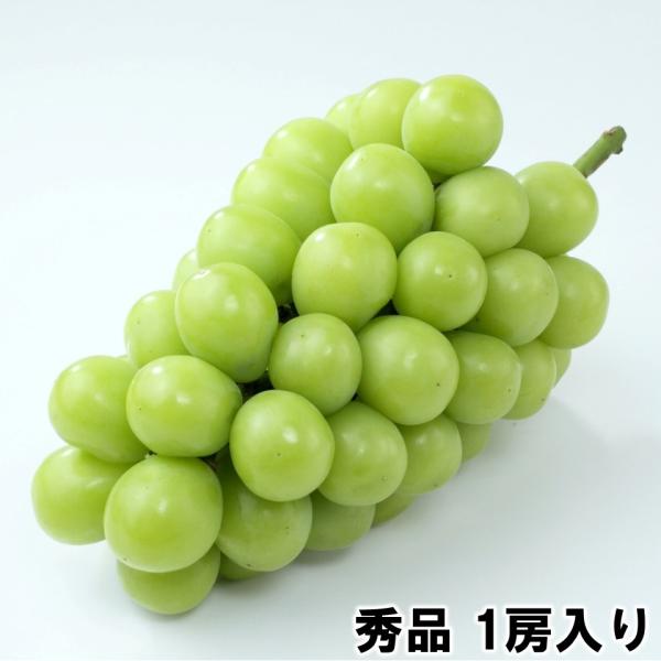 ネットで買える！おかやま果物・野菜※こちらの商品は7月上旬より順次出荷予定です。天候等の理由によりお届け時期が変更・キャンセルとなる場合がございます。ご了承の上ご注文をお願いいたします。シャインマスカットは安芸津21号（ スチューベン×マス...