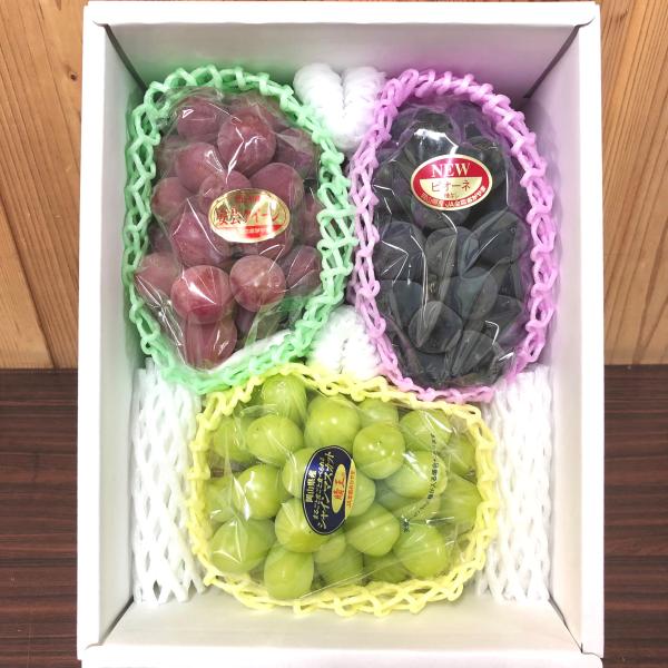 【発売日：2026年08月20日】※こちらの商品は8月下旬から9月上旬より順次出荷予定です。天候等の理由によりお届け時期が変更・キャンセルとなる場合がございます。黒系・赤系ぶどうは脱粒しやすくなっておりますが品質に問題はございませんのでご了...