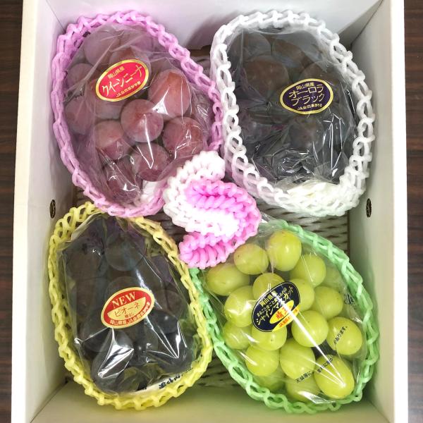【発売日：2026年08月20日】※こちらの商品は8月下旬から9月上旬より順次出荷予定です。天候等の理由によりお届け時期が変更・キャンセルとなる場合がございます。今年の赤系・黒系ぶどうは脱粒しやすくなっております。ご了承の上ご注文をお願いい...