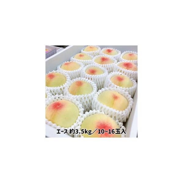 ★発送日指定不可の商品です★※※天候や入荷状況により発送が前後する場合がございます※※桃の品種は10日〜2週間で旬が変わります。弊社ではその時々の旬の品種を「岡山の白桃」と名付けて販売しています。原則、品種の指定は出来かねます。但し、入荷時...