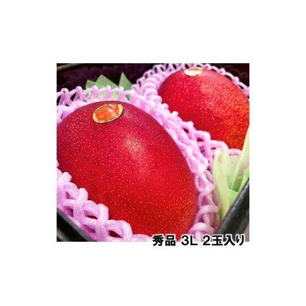 【発売日：2026年06月01日】※こちらの商品は6月上旬頃より順次発送予定です。天候や入荷状況によりお届け日が前後する可能性がございますのでご了承の上でのご注文をお願い致します。宮崎のマンゴーは、「完熟」にこだわり、樹上で熟し自然に落果し...