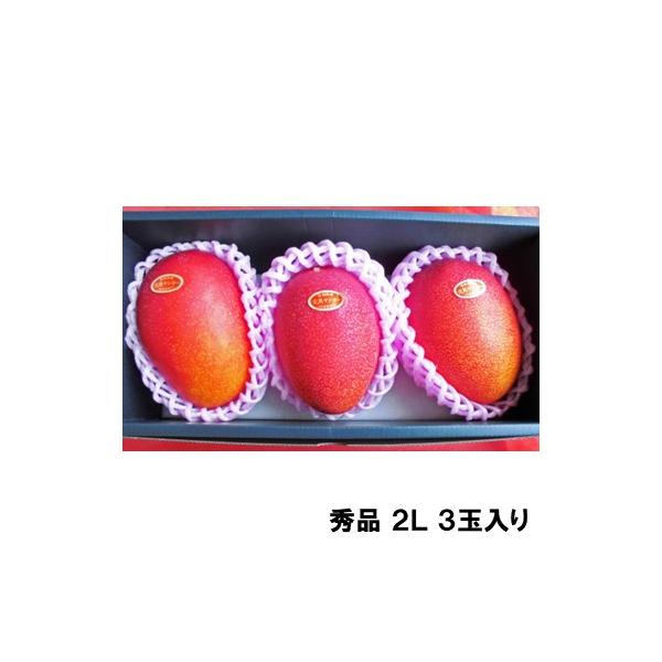 【発売日：2026年06月01日】※こちらの商品は6月上旬頃より順次発送予定です。天候や入荷状況によりお届け日が前後する可能性がございますのでご了承の上でのご注文をお願い致します。宮崎のマンゴーは、「完熟」にこだわり、樹上で熟し自然に落果し...