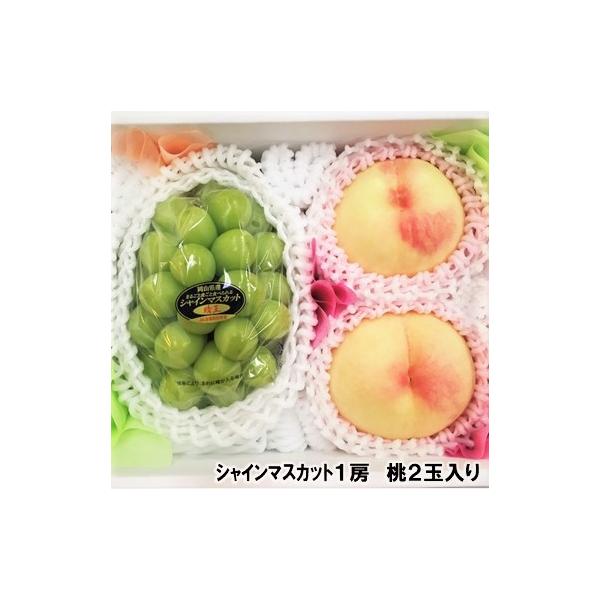 ネットで買える！おかやま果物・野菜★発送日指定不可の商品です★※※天候や入荷状況により発送が前後する場合がございます※※大人気のシャインマスカットと岡山白桃のセットです。岡山白桃：白桃と言えば岡山です。袋掛け栽培された桃は白くほんのりとピン...