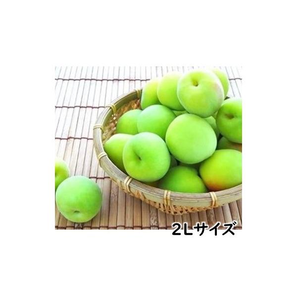 【発売日：2023年05月26日】※こちらの商品は6月上旬より順次出荷予定です。天候や入荷状況によりお届け日が前後する可能性がございますのでご了承の上でのご注文をお願い致します。和歌山県は、全国の梅の収穫高の6割を占める一大産地です。全国の...