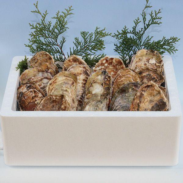 【発売日：2025年12月10日】R7年度予約開始しました。今年は12/17〜お届け可能！！殻付きカキです。盛りつけに殻を使ってちょっとお洒落なディナーに!はたまた、豪快に炭火で焼くも良し!酒蒸しにすれば磯の香りを十二分にご堪能頂けます。3...