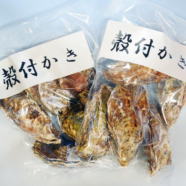 【発売日：2025年12月10日】R7年度予約開始しました！！！今年は12/17〜お届け可能！！レンジに入れてそのままチンできる商品です。虫明産（岡山県邑久町）のかきは味が濃くふっくら・ぷりぷりです。【内容量】牡蠣（殻付き5個）×2袋【保存...