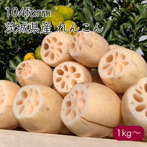 ・れんこん専業農家が作る『茨城県産 れんこん』ホクホク、シャキシャキな食感のれんこん(茨城県産)を、れんこん農家直送でお送りします。・有機肥料たっぷりで蓮根を育てる『104farm』茨城県の筑波山や霞ヶ浦など自然豊かな地域で栽培する104f...