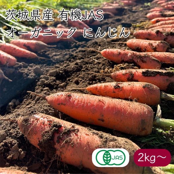 【発売日：2026年12月18日】★確認事項の数量から量と価格が確認できます★・『茨城県産 有機JAS にんじん』茨城県の有機JAS認定畑で、作られた人参です。土付きでお送りする商品です。・"食卓をハッピーに"を合言葉に有機野菜をお届けする...