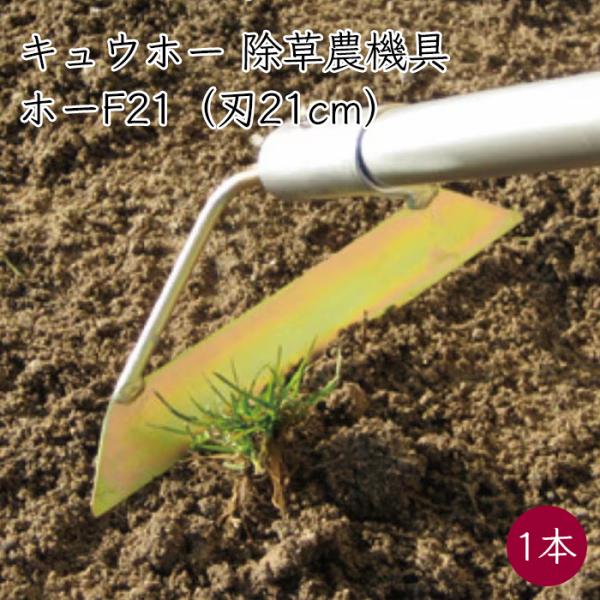 【発売日：2026年01月06日】・除草農機具『Ｑホー（キュウホー）』「作物に除草剤は使いたくないが、雑草がたくさん生えてくる」なんてお悩み抱えていませんか？刃は鋼で石にも強く、柄はアルミで軽く、柄の長さは1.5mあり、株間・根際・条間を立...